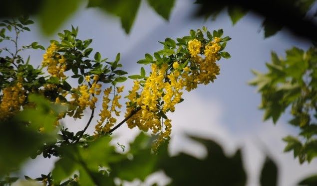 Mot me diell, temperaturat deri në 30 gradë - Telegrafi - Telegrafi