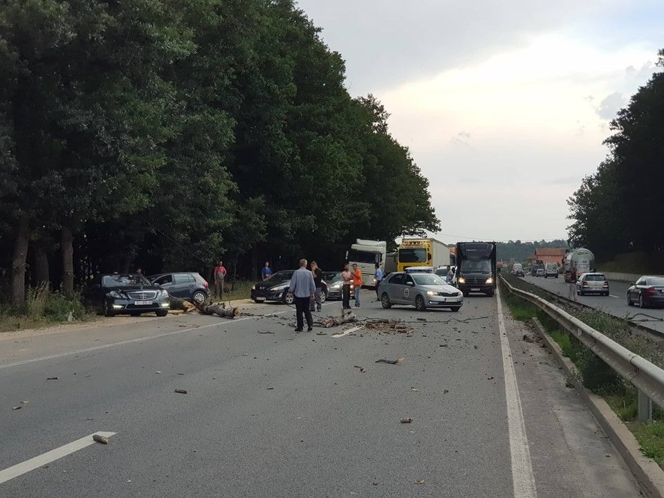 An old tree falls in Llapushnik, blocking the Pristina - Pejë highway ...