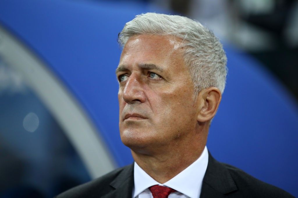 Petkovic with the utmost respect for Wales - Telegraph - Telegraph