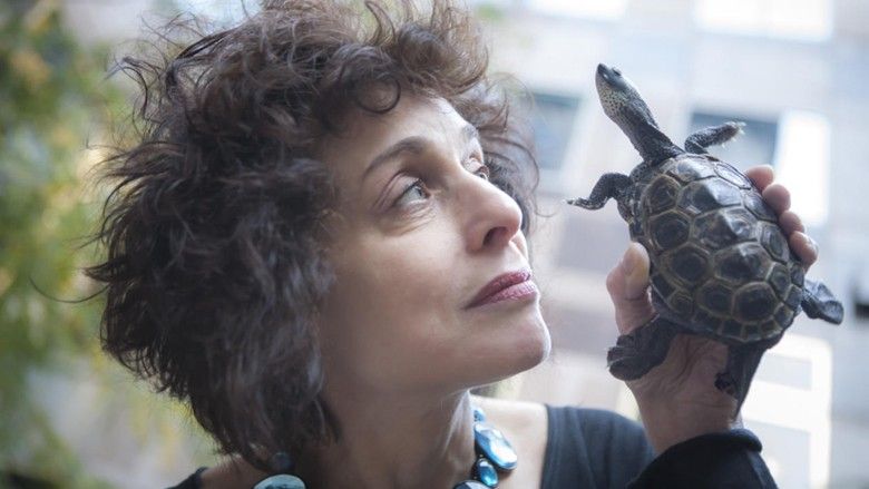 Çfarë dimë për breshkat? - Telegrafi - Telegrafi