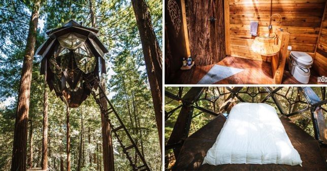 Shtëpiza e jashtëzakonshme në formë ananasi, e vendosur në 20 metra ...