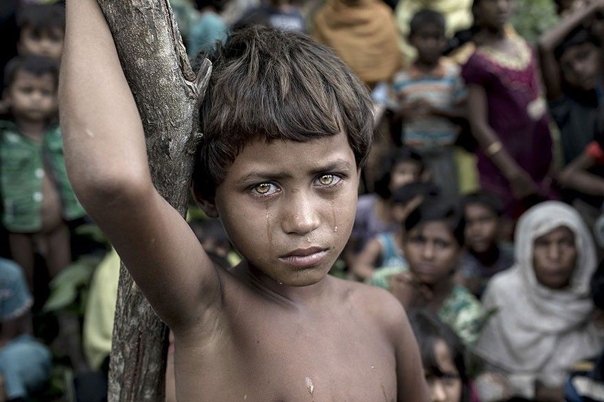 SIPA competition: The most special photos of the big competition ...