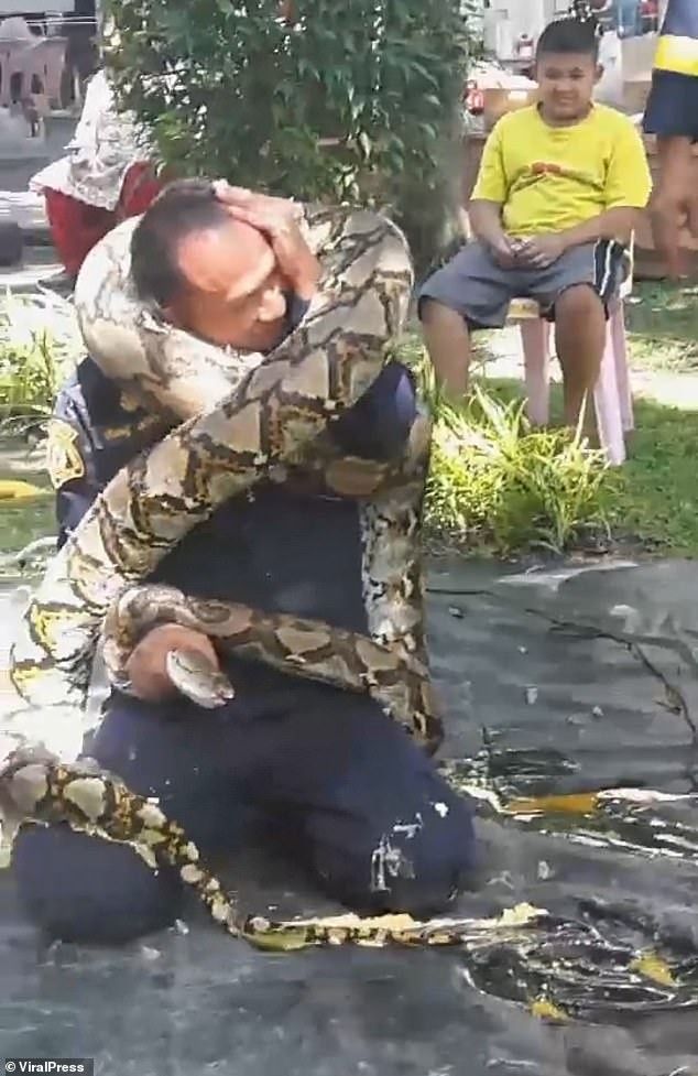 The python wrapped the firefighter during the demonstration of rescue ...