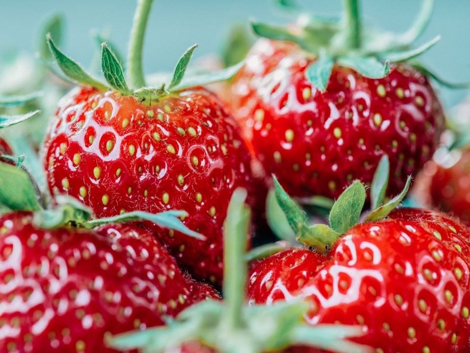 Foods you can eat without getting fat - Telegraph - Telegraph