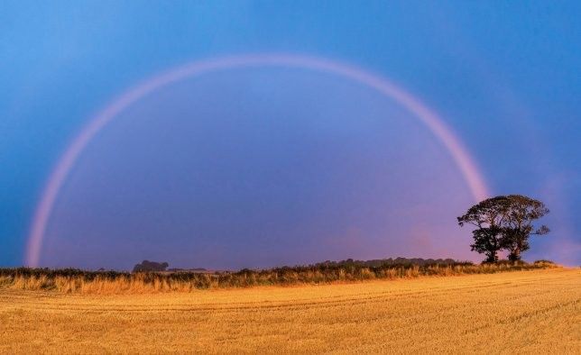 Photographer captured footage of pink rainbow during rare natural ...