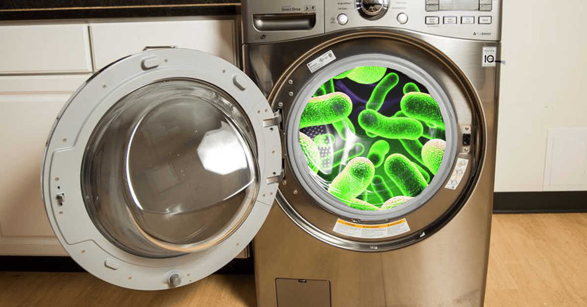 The washing machine may be responsible for bacteria and the spread of ...