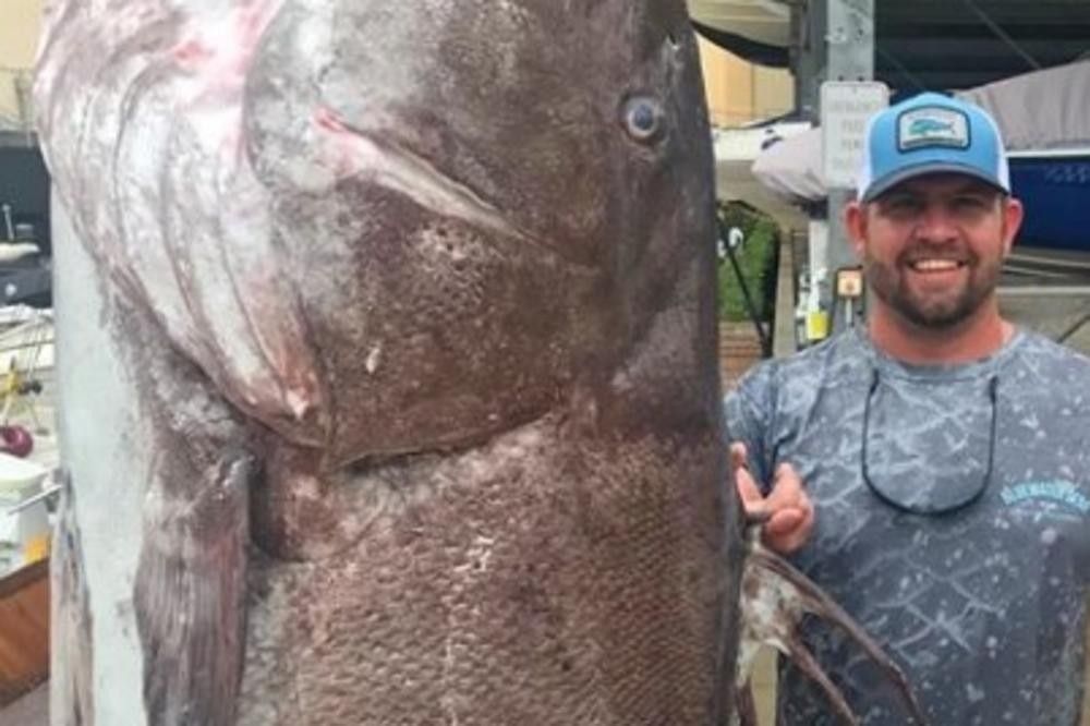 American fishermen pull the 159-kilogram fish out of the water, it is a ...