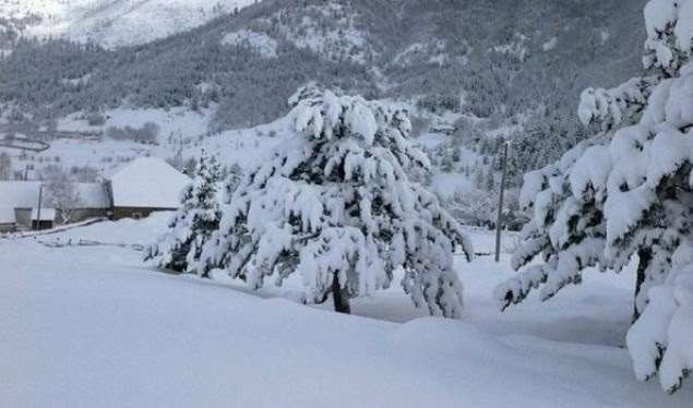 Ngricat në rrugë, 5 persona kanë kërkuar ndihmë në qendrën emergjente ...