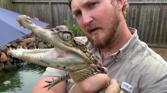 Meet the "King of Crocodiles" who lives with three crocodiles and other ...