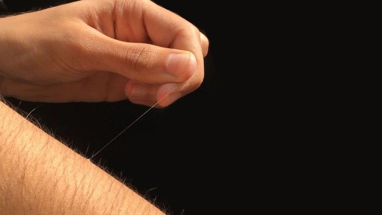 Why are some hairs on our body surprisingly very long? - Telegraph ...