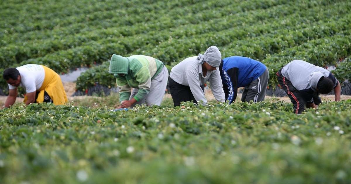 Ulet blerja dhe shitja e prodhimeve bujqësore në Maqedoni - Telegrafi ...