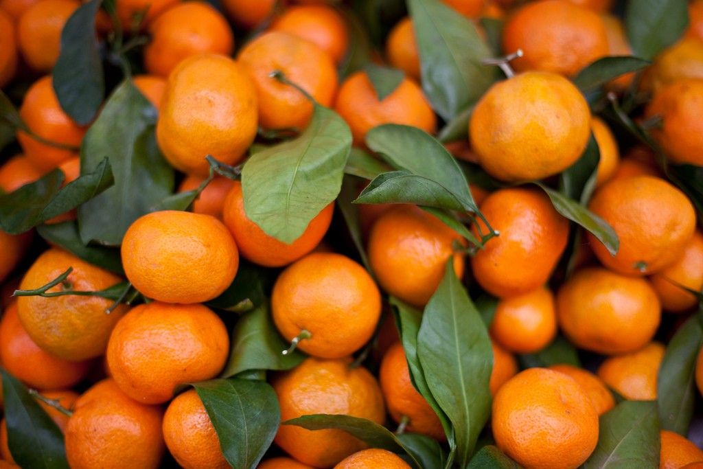Five important reasons to eat more tangerines - Telegraph - Telegraph