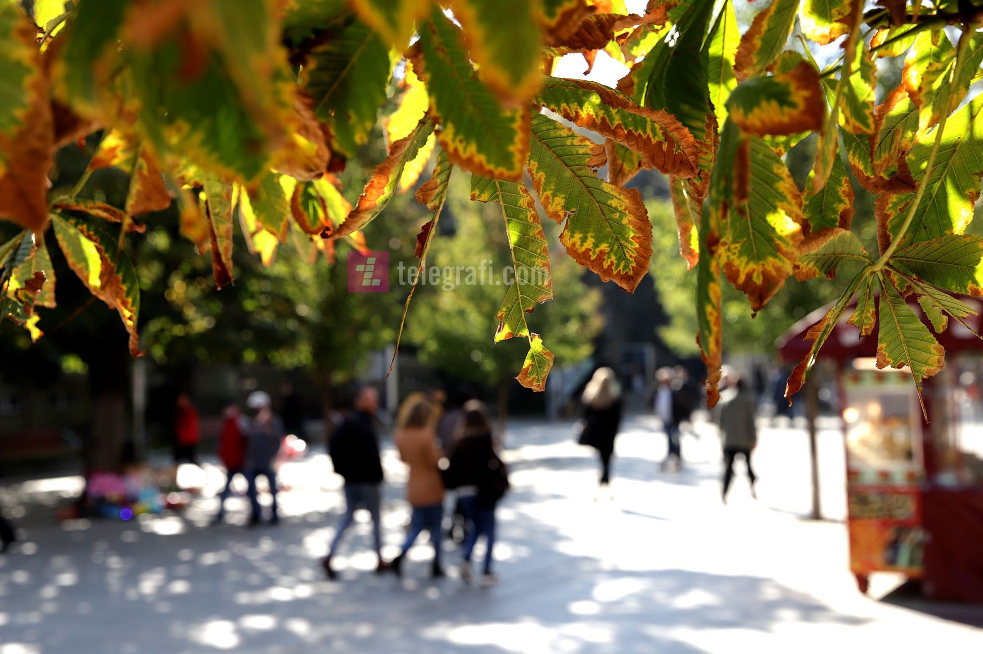 Sot, mot me diell dhe i vranët - Telegrafi - Telegrafi