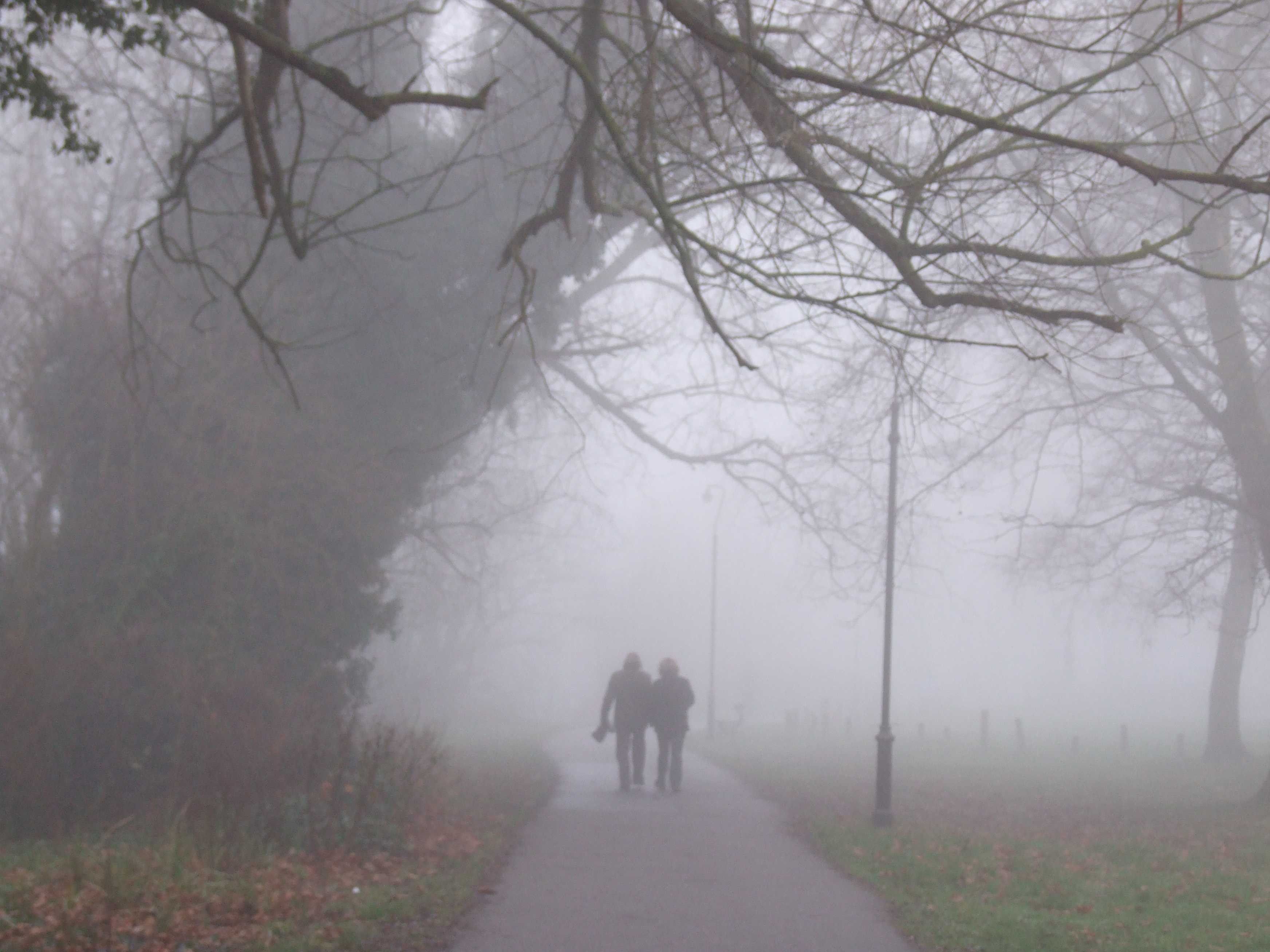 Four places with the most fog in the world: Life under the thick fog ...