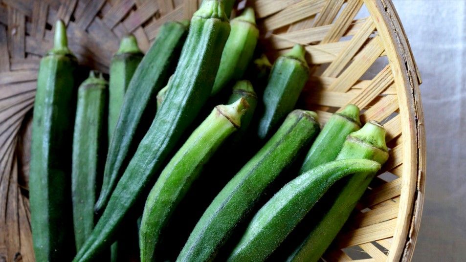 Përfitimet shëndetësore të bamjeve - Telegrafi - Telegrafi