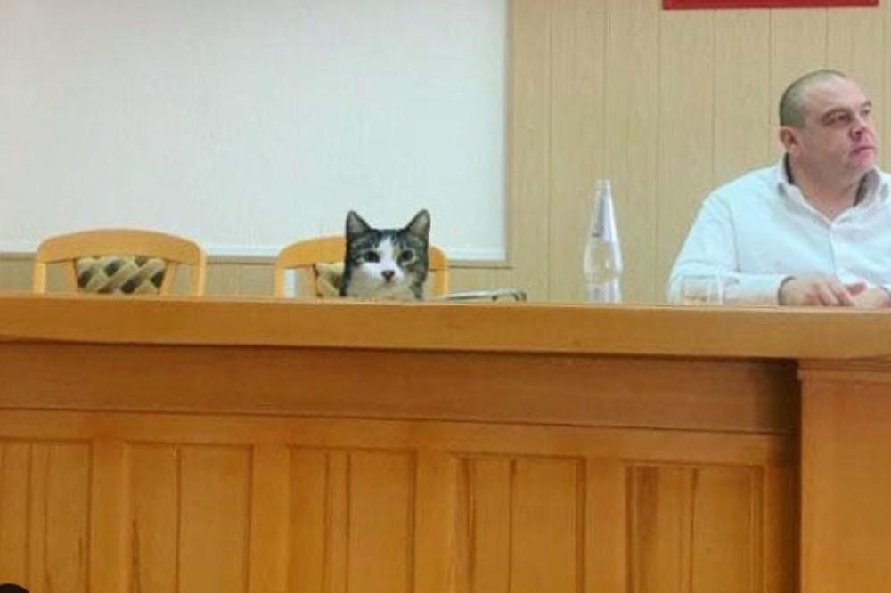 Maçoku, who for 12 years "works" in the municipality of the Russian ...