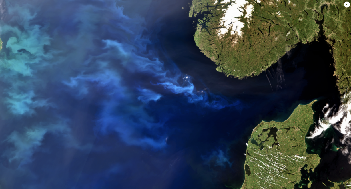 2020 was the warmest ever in Europe - Telegraph - Telegraph