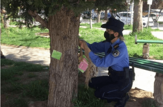 Nën moton “Duaje jetën –Duaje veten”, policia në Mitrovicën Jugore ...