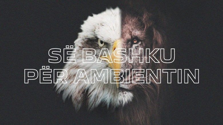 Besa Security investon në luanët elektrik të brendit Peugeot ...