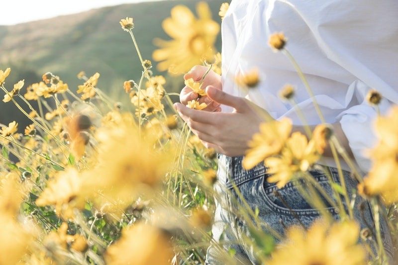 What does the day of the week you were born mean for you - Telegraph ...