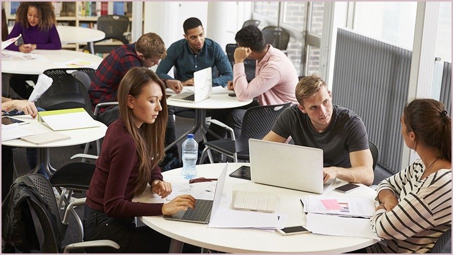 Creating synergy in the workplace - Telegraph - Telegraph