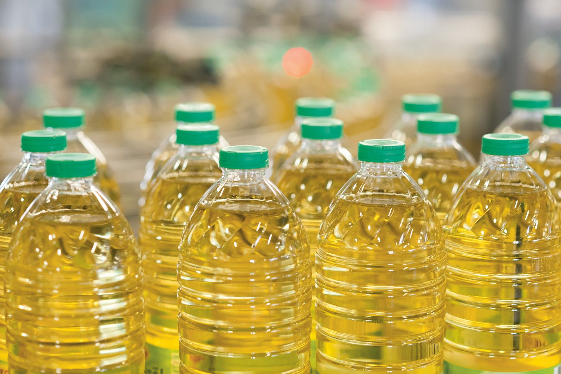 The rise in the prices of cooking oil, trees and fuel in Kosovo ...