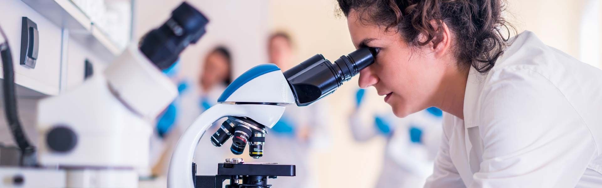 The role of Candida albicans in diarrhea and abdominal pain - Telegraph ...