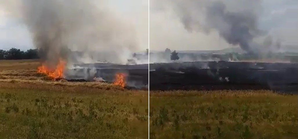 The fire destroys large areas of agricultural land in Dubrava, Suhareka ...