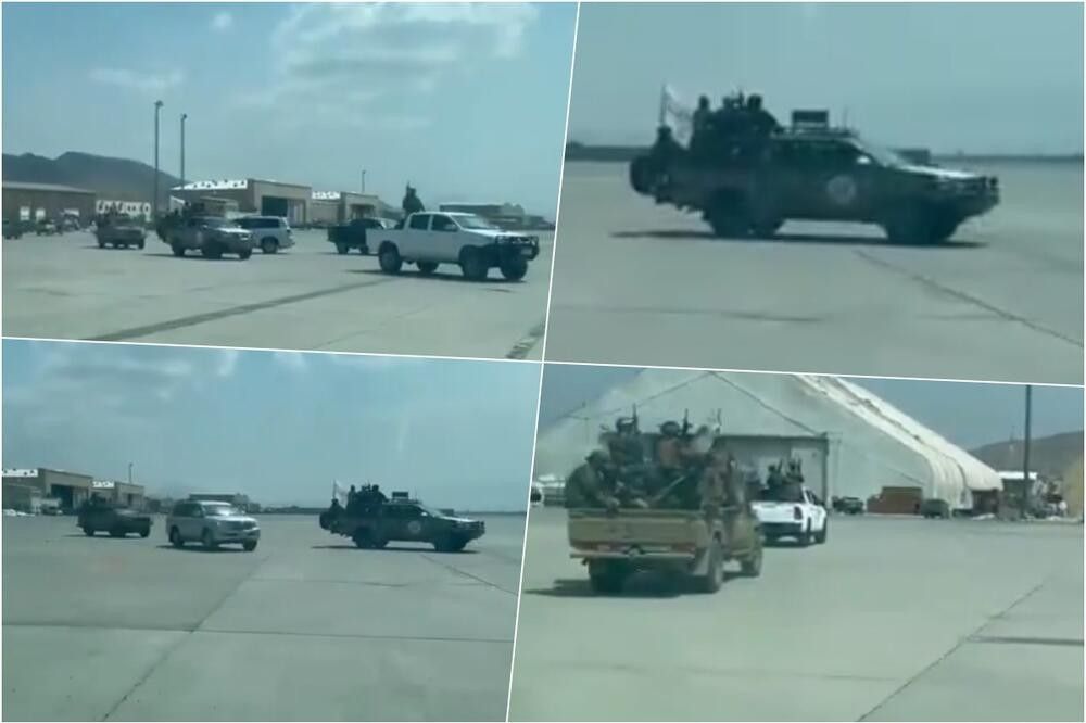 Who are the members of the Taliban's Badri 313 brigade, commandos or ...