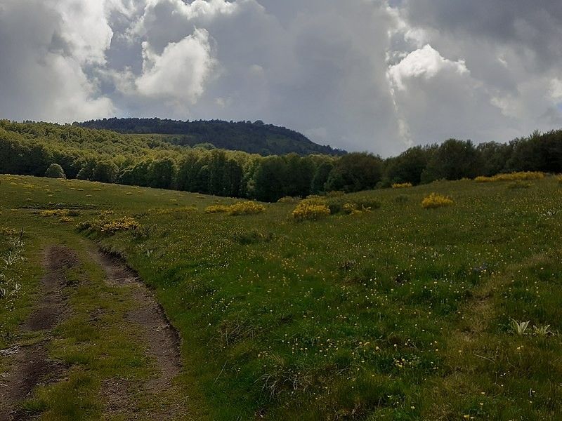 Maqedoni: Një pjesë e maleve të Maleshevës shpallen zonë e mbrojtur ...