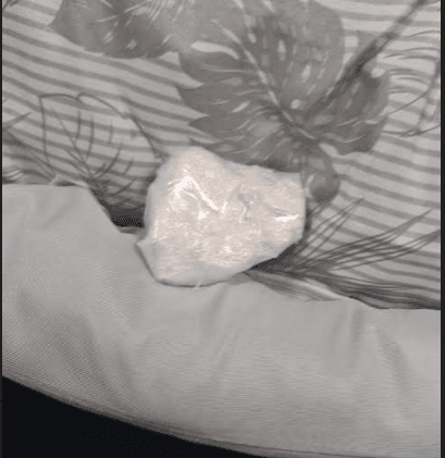 More than half a kilogram of cocaine was confiscated at the border ...