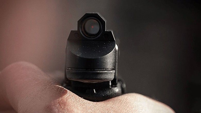 See what the smallest mole in the world looks like - Telegraph - Telegraph