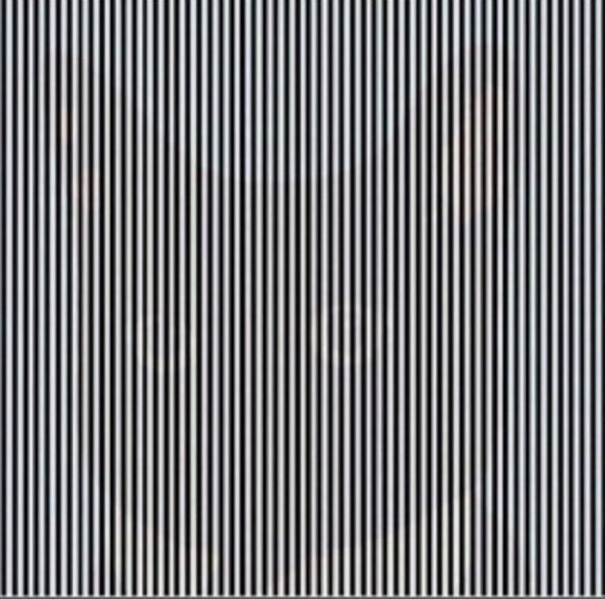 Look at the picture and move your head left and right: You will see an ...