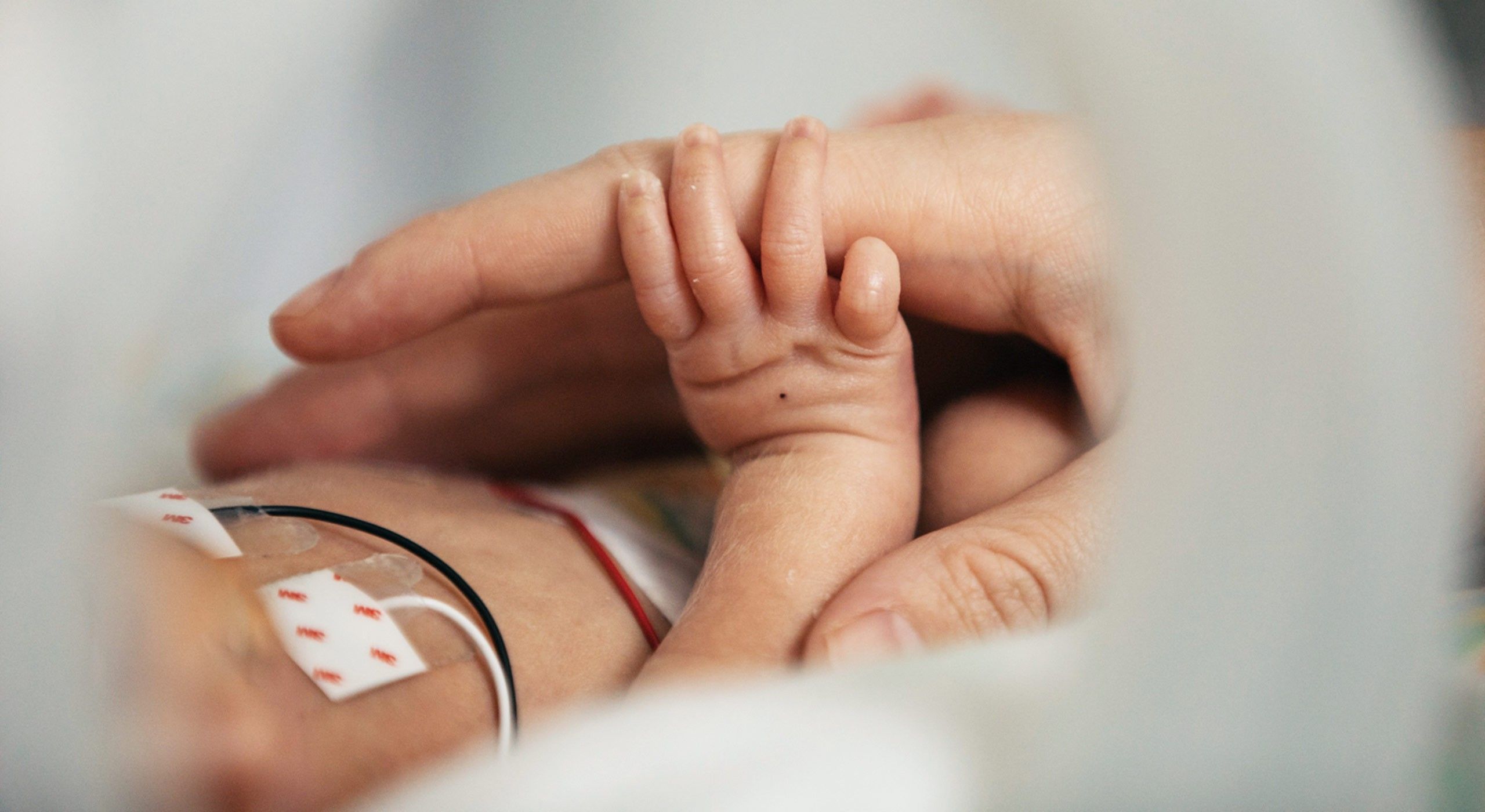 A dangerous virus for babies has appeared in the USA - Telegraph ...