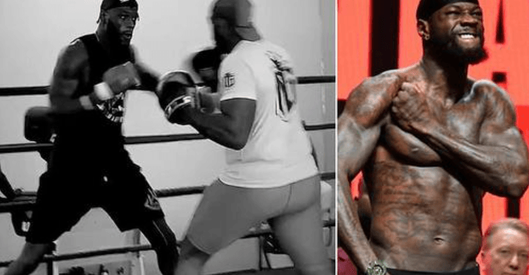 Wilder looks fitter than ever in footage shown by his trainer ...
