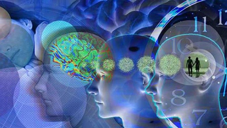 How does the brain store memories? - Telegraph - Telegraph