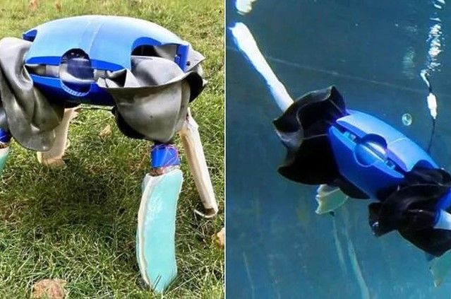 Amphibious turtle developed by Yale University researchers, this robot ...