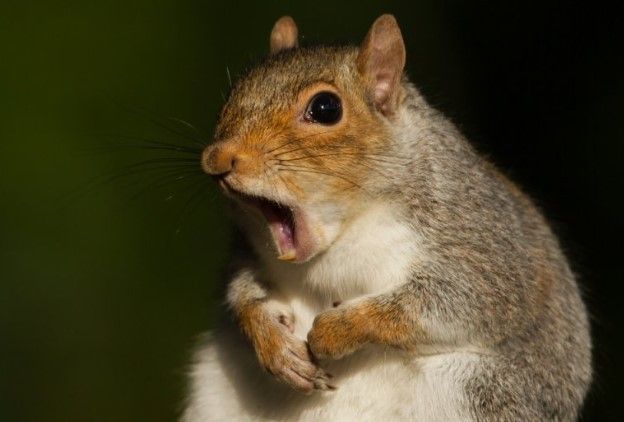 Ketri la pa rrymë 2,000 banorë në Oregon - Telegrafi - Telegrafi