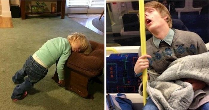 Images of people taking a nap in the most unusual places - Telegraph ...