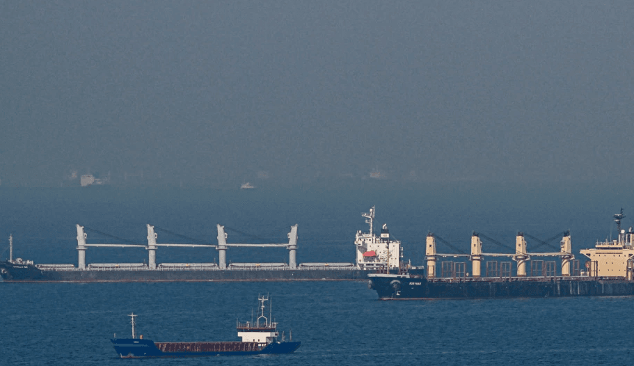 Why the Black Sea Wheat Agreement is vital to global food security ...