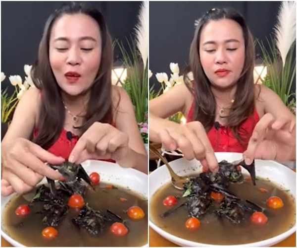 Thai blogger faces five years in prison after filming herself eating bats - Telegraph - Telegraph