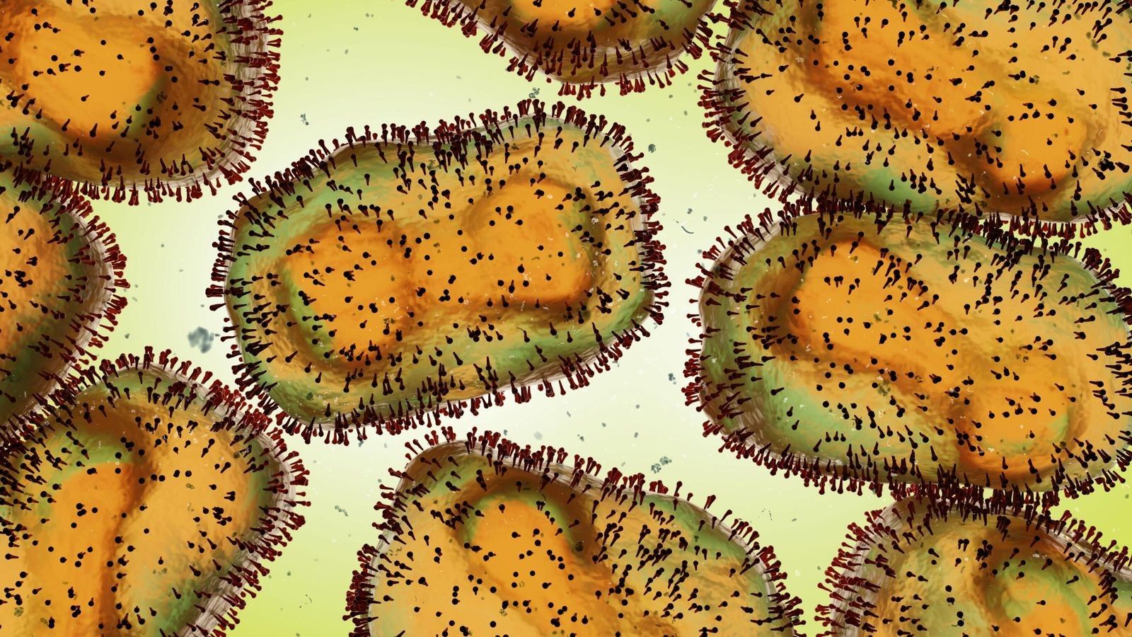 No more 'Monkeypox' - Monkeypox has been given a new name by the World ...