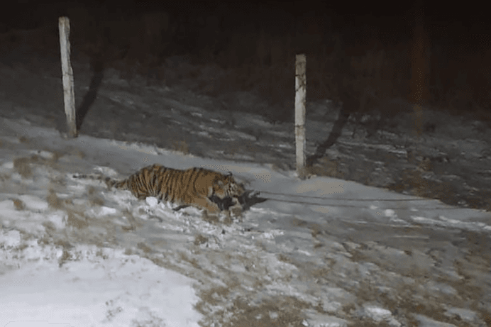 Ushtarët e Putinit në bazën ushtarake ruse të Flotës së Paqësorit po ...