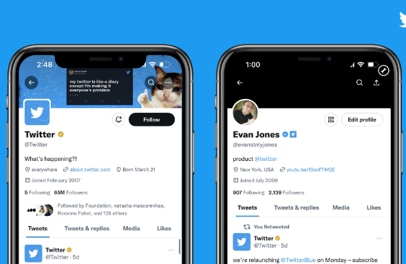 Twitter introduces "Blue for Business" feature - Telegraph - Telegraph