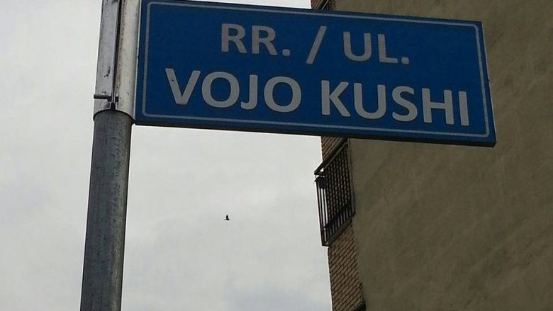 Viti 1942: Mustafa Kruja në Kosovë, vrasja e Vojo Kushit dhe Balto ...