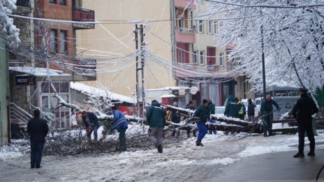 Rrëzohen lisa në disa lokacione në kryeqytet, Rama: Qytetarët të mos ...