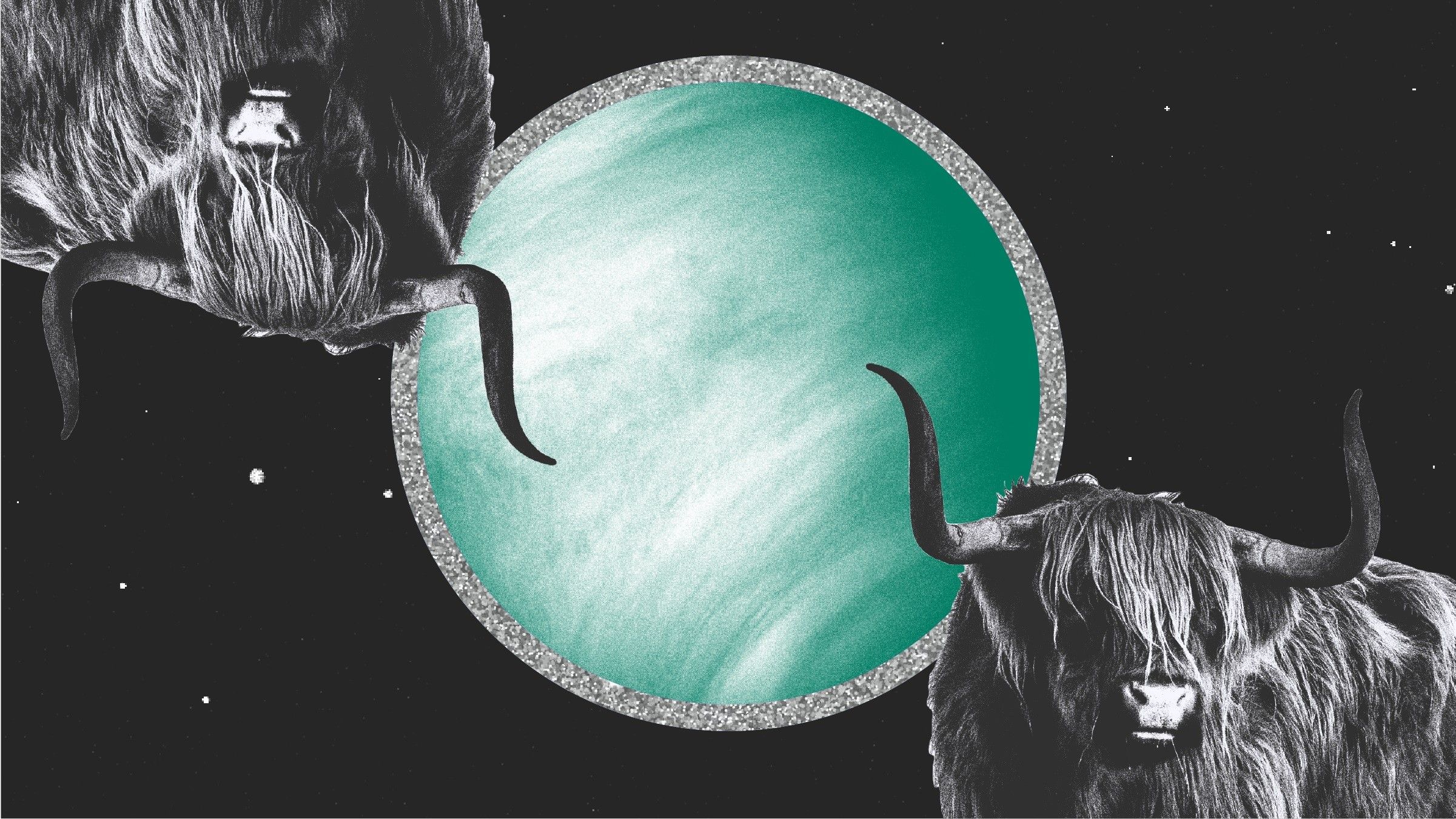 "The patient, the won": Taurus are practical, love luxury, are super ...