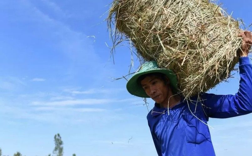 Vietnam records highest temperature ever - Telegraph - Telegraph