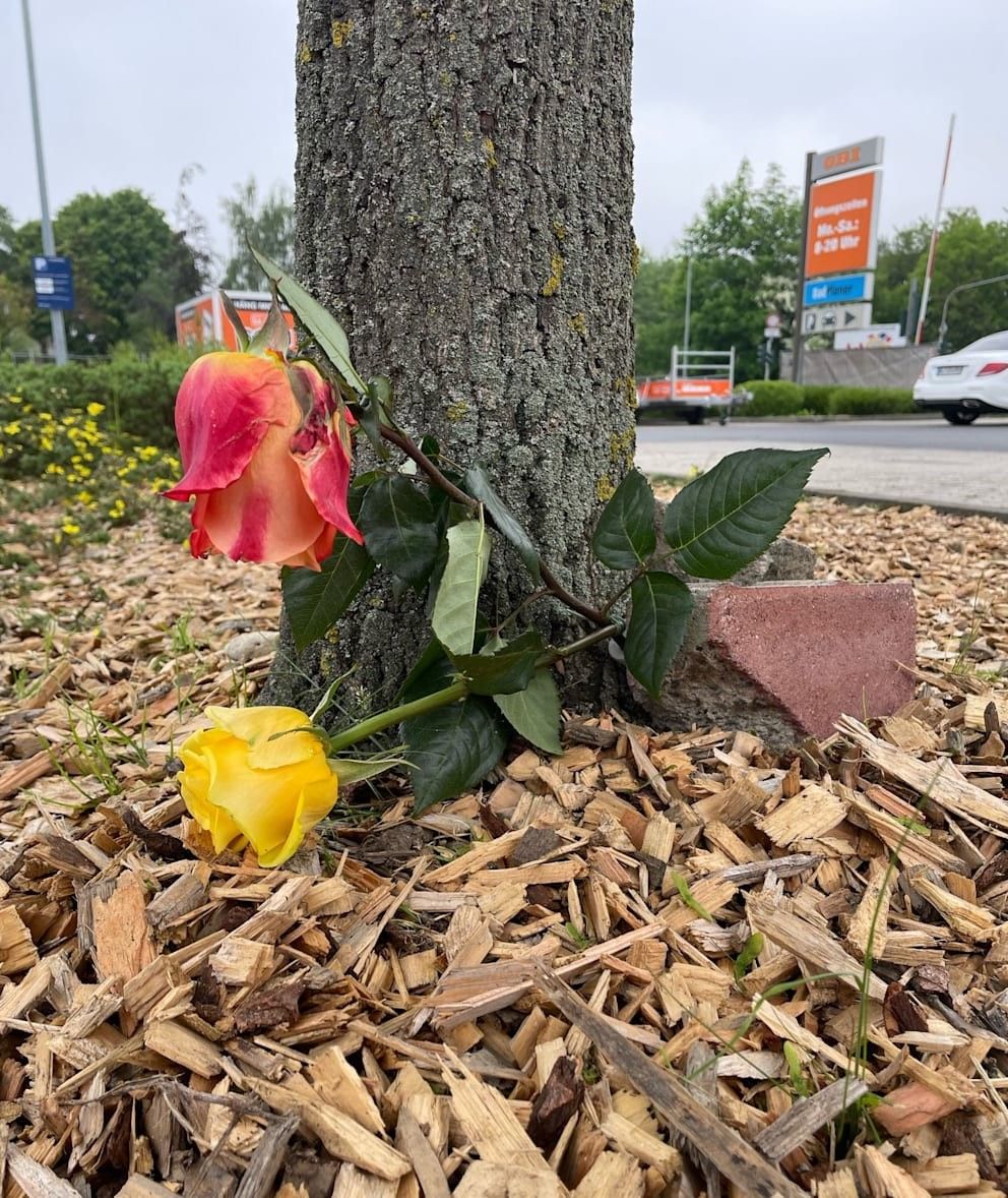 The serious murder of Mitrovica in Germany, the ex-husband allegedly ...