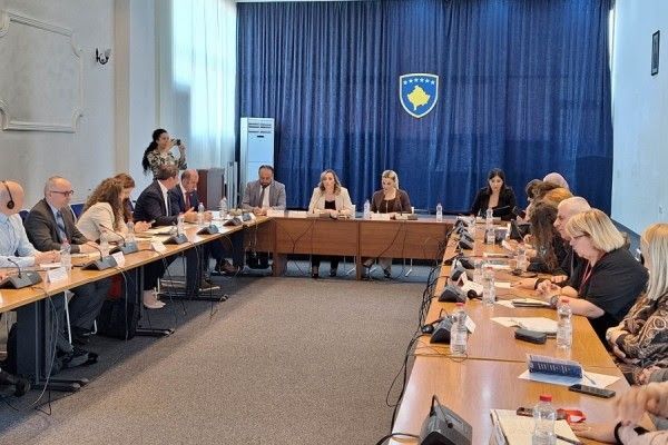 Qerimi: Institutions to provide necessary infrastructure for persons ...